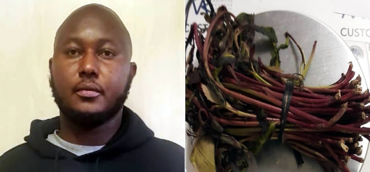 Le Xournal | Aéroport de Plaisance : Un Kényan arrêté à sa descente d ...